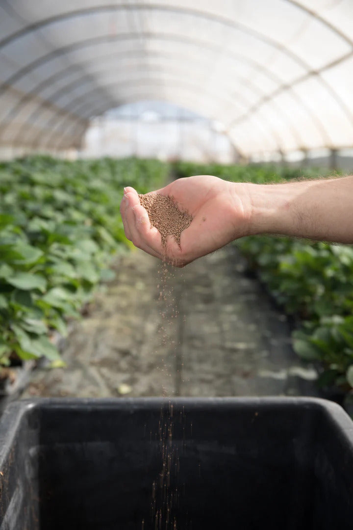 Do Mycorrhizal Inoculants Work? – DYNOMYCO